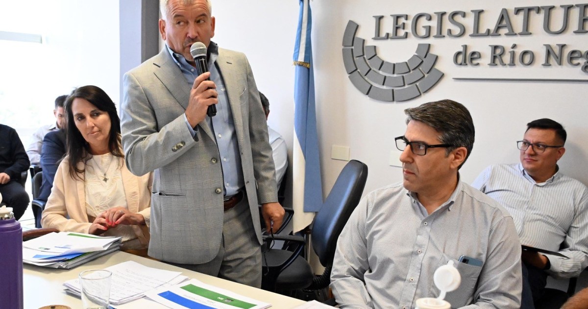 Río Negro prepara Letras del Tesoro, pero «sin uso inmediato», y ...