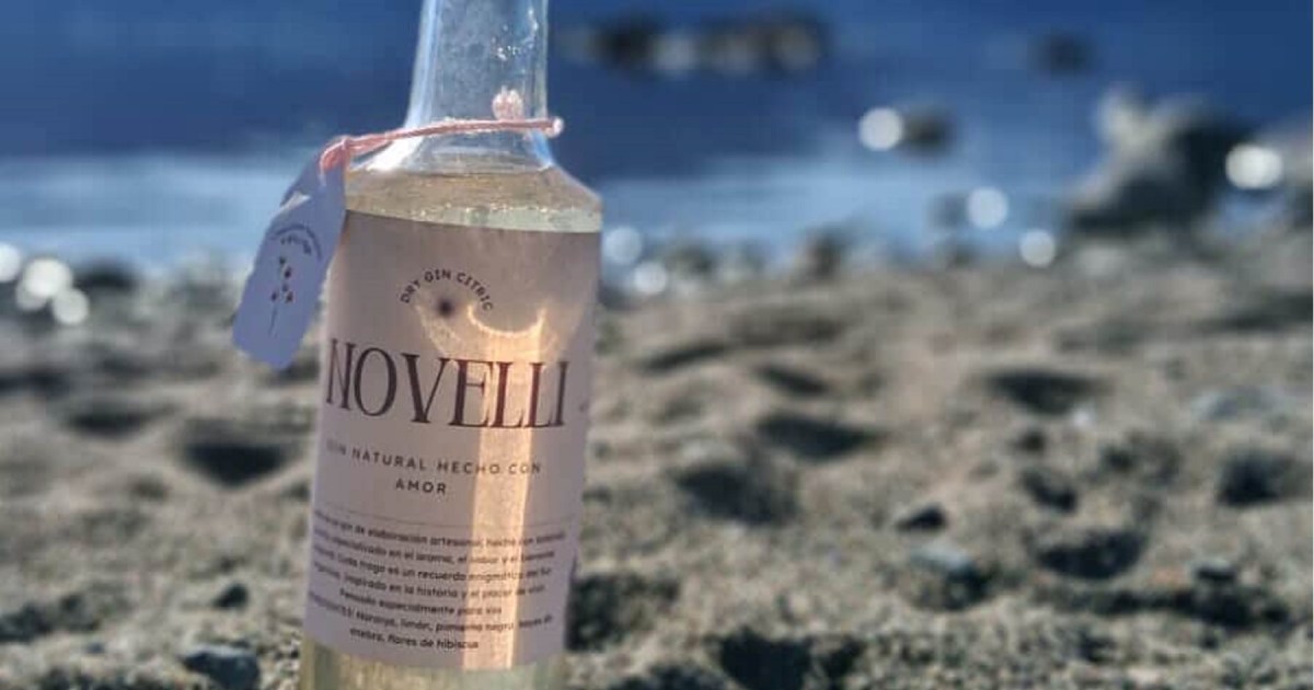 Jazmín destila sueños en la Patagonia: creó Novelli Gin con hierbas de ...