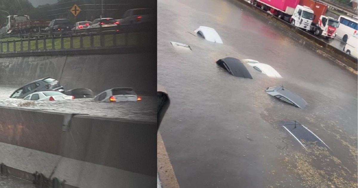 Downlod vidio bokep indonesia