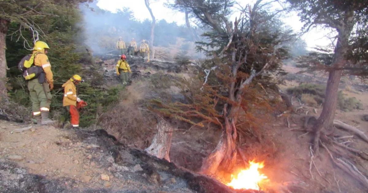 Resultados de búsqueda | Diario Río Negro