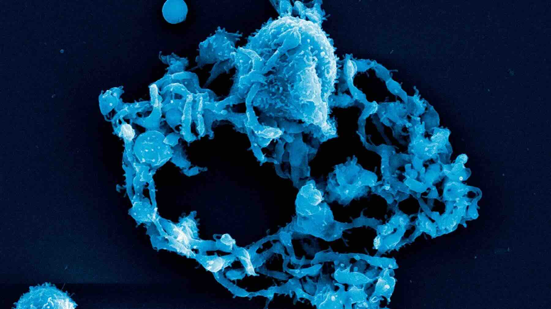 La NASA lanzó su calendario científico 2026: un viaje visual por el ...