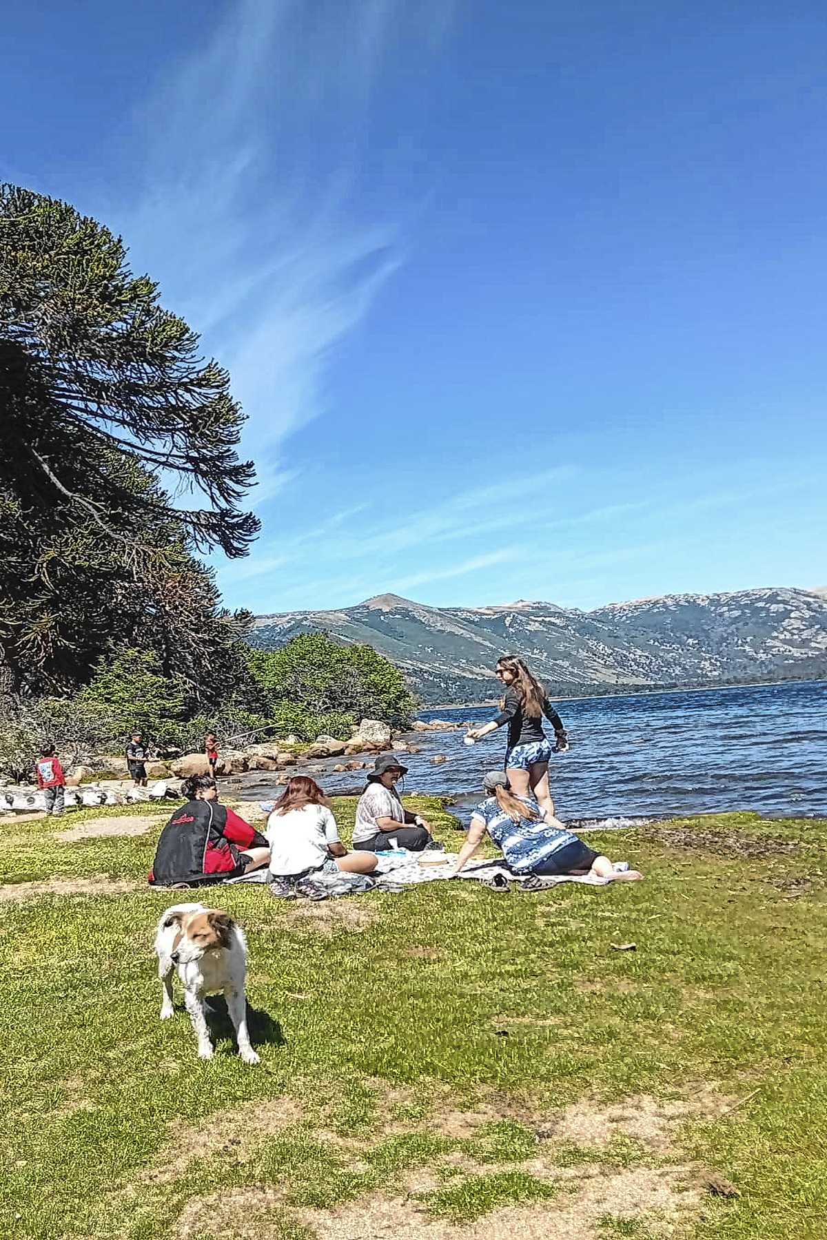 Escapada de fin de semana cerca de Neuquén: acampe y aventura en el ...