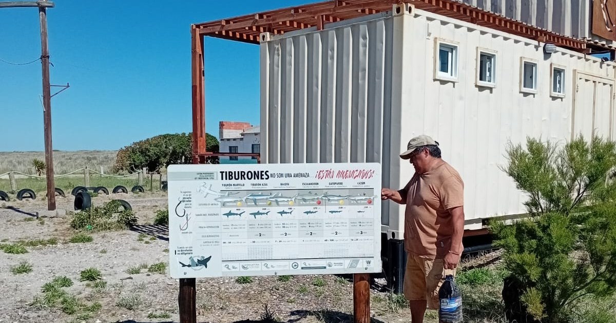 Río Negro colocó cartelería para proteger a los tiburones endémicos de ...
