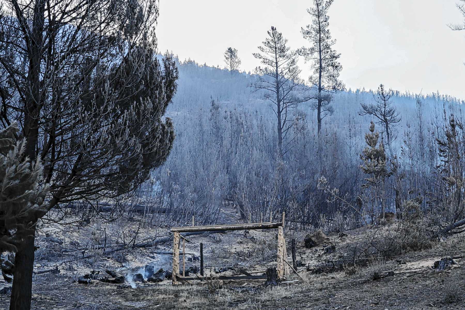 Zona de incendios: tormenta y viento en Chubut esta semana, cuándo ...
