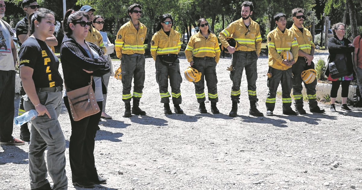 Buscan régimen especial para brigadistas de incendios forestales ...