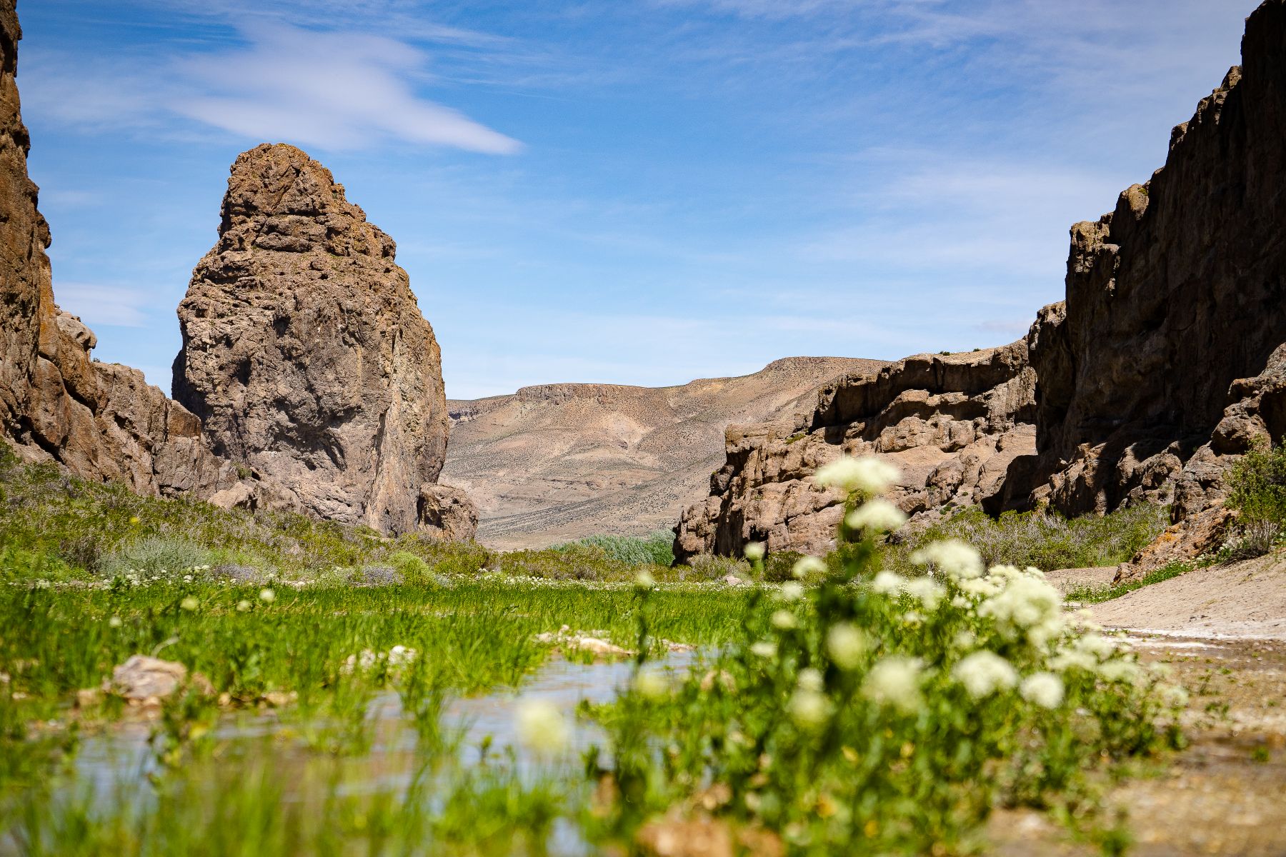 Piedra Parada: la catedral volcánica de la Patagonia, un paisaje de ...