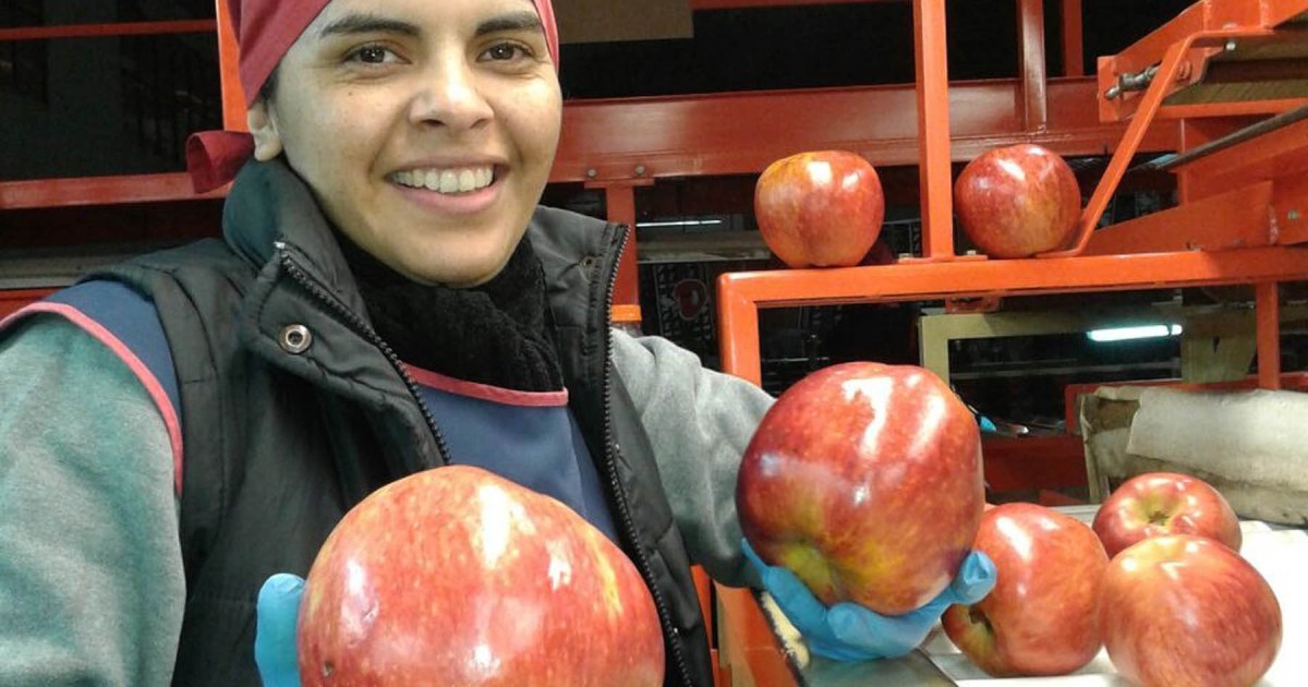 Andrea Fajardo, una vida dedicada a la industria frutícola y ejemplo de ...