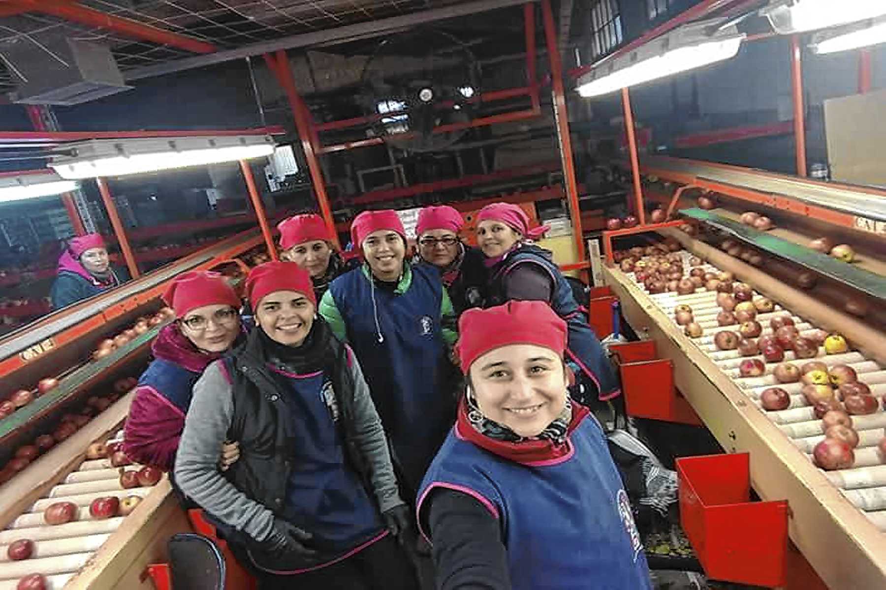 Andrea Fajardo: 25 años en la fruticultura y un homenaje a su ...