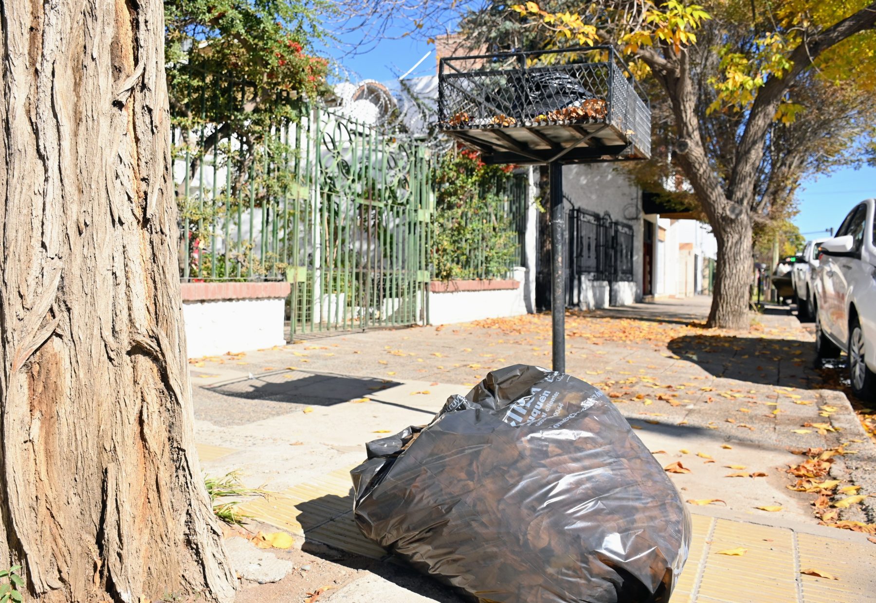 Recolección de hojas de otoño de CLIBA: adónde van las bolsas con el ...