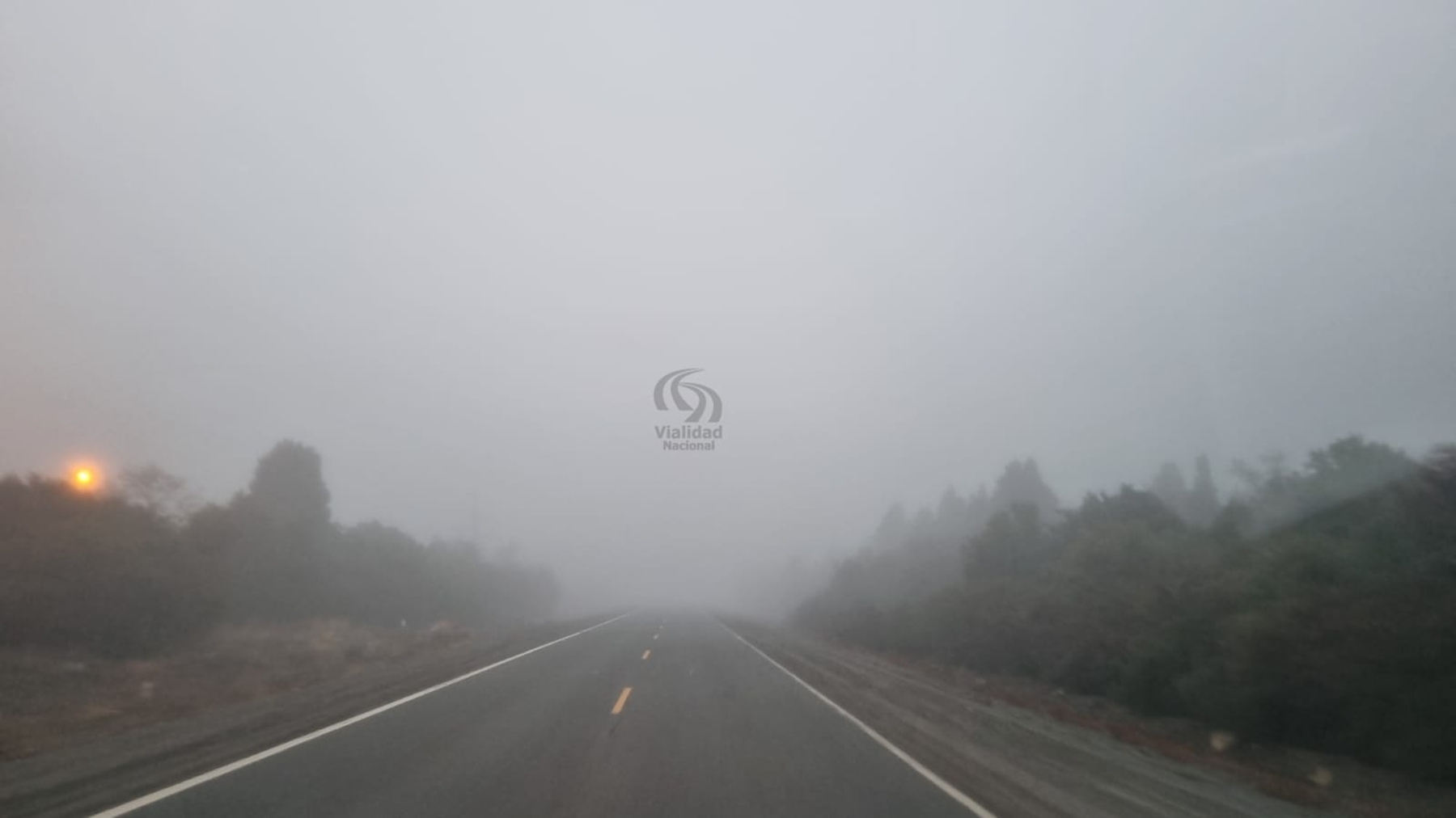 Estado de las rutas en Neuquén y Río Negro: alertan por niebla y ...