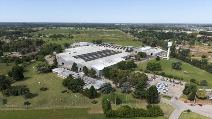 Aluar apuesta a las renovables: inicia la construcción de un parque ...