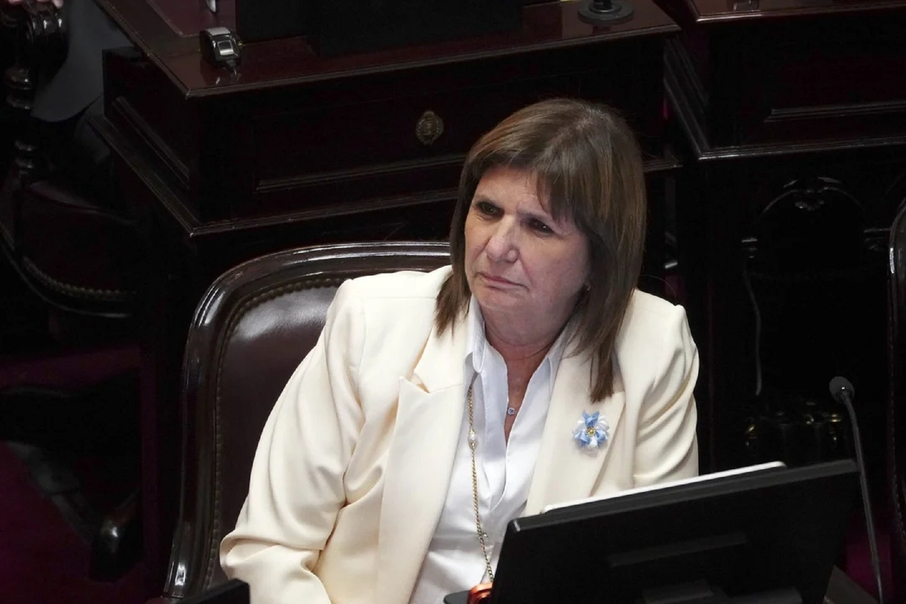 El Senado demora la definición sobre Michelli y profundiza un conflicto ...
