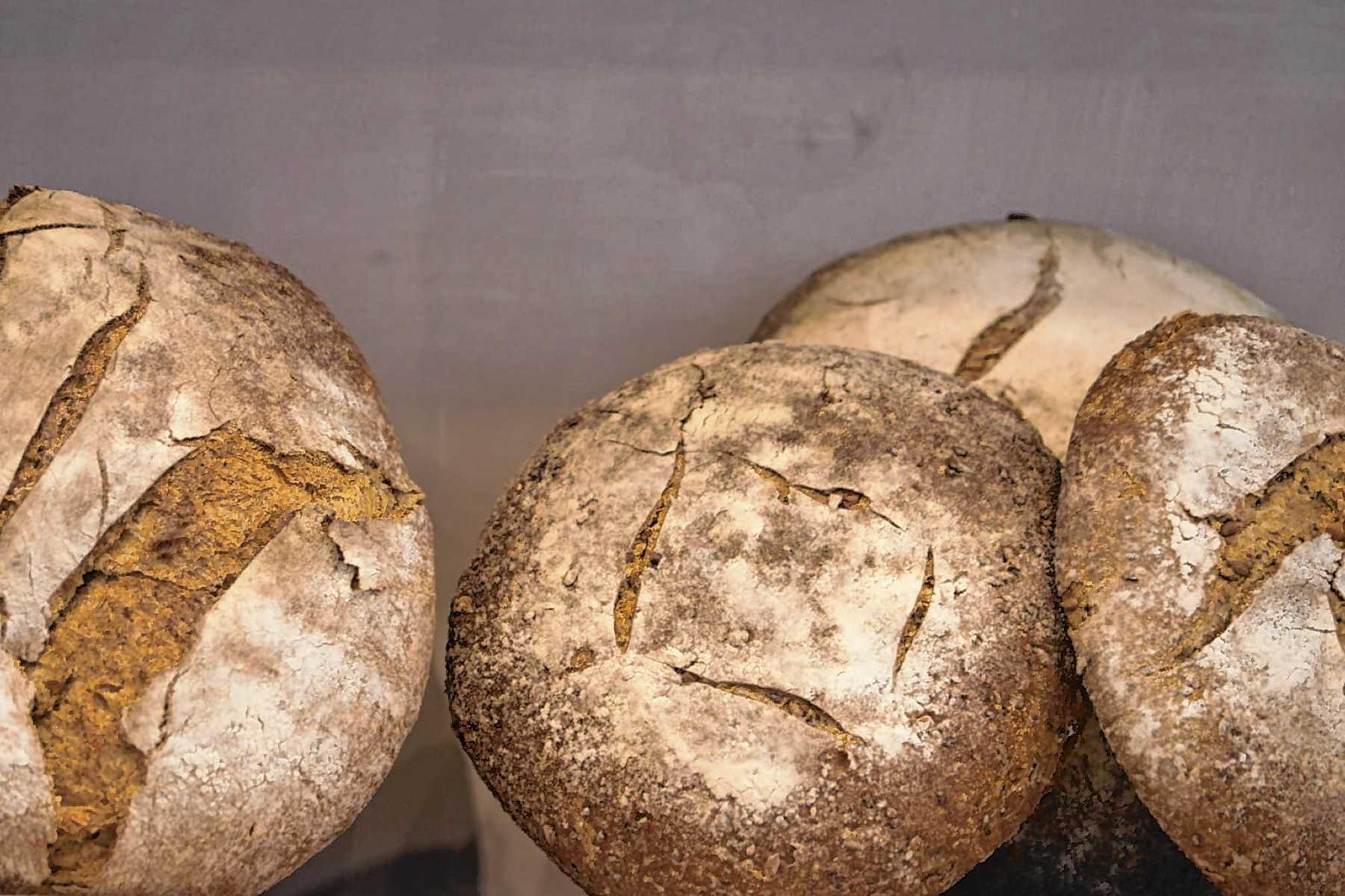Le Pain Quotidien abre su primer local en Neuquén: panes de masa madre ...
