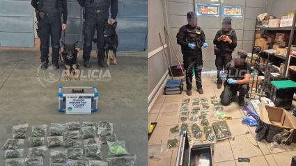 Controles con perros antinarcóticos en Neuquén: incautaron droga ...