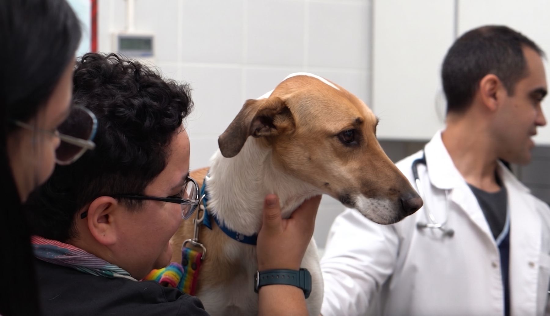 La carrera de Medicina Veterinaria más austral del país crece en Río ...