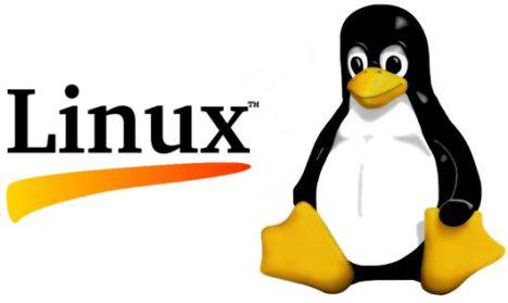 La primera cita con un pingüino: sistema operativo Linux para novatos