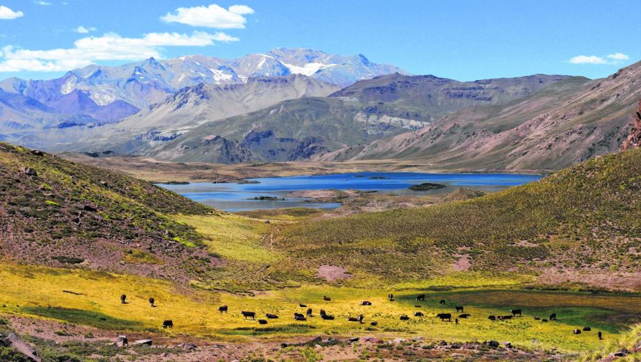 Así es un día en la veranada del norte neuquino