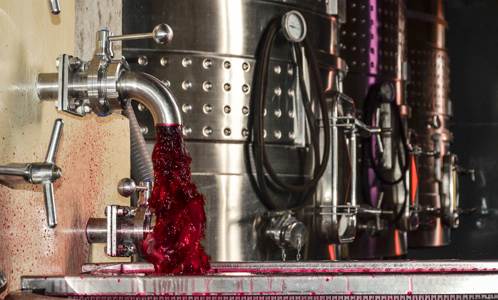 Qué está haciendo y cómo le va a la bodega Del Río Elorza, en Fernández ...