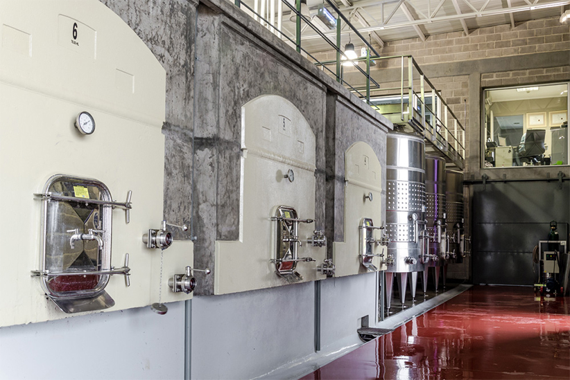Qué está haciendo y cómo le va a la bodega Del Río Elorza, en Fernández ...